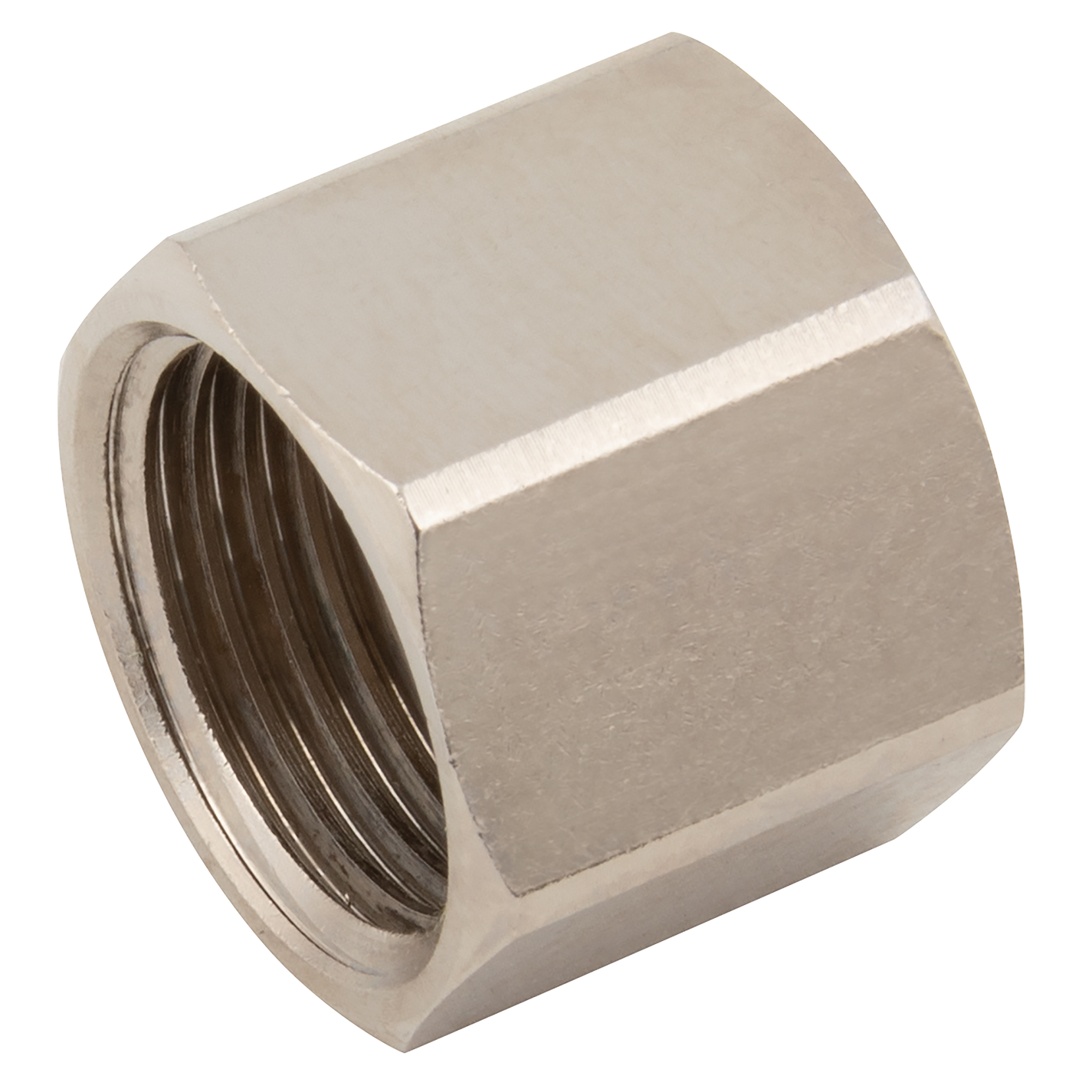 Nickel Plated Brass BSPP Female Blanking Caps | Buy Online